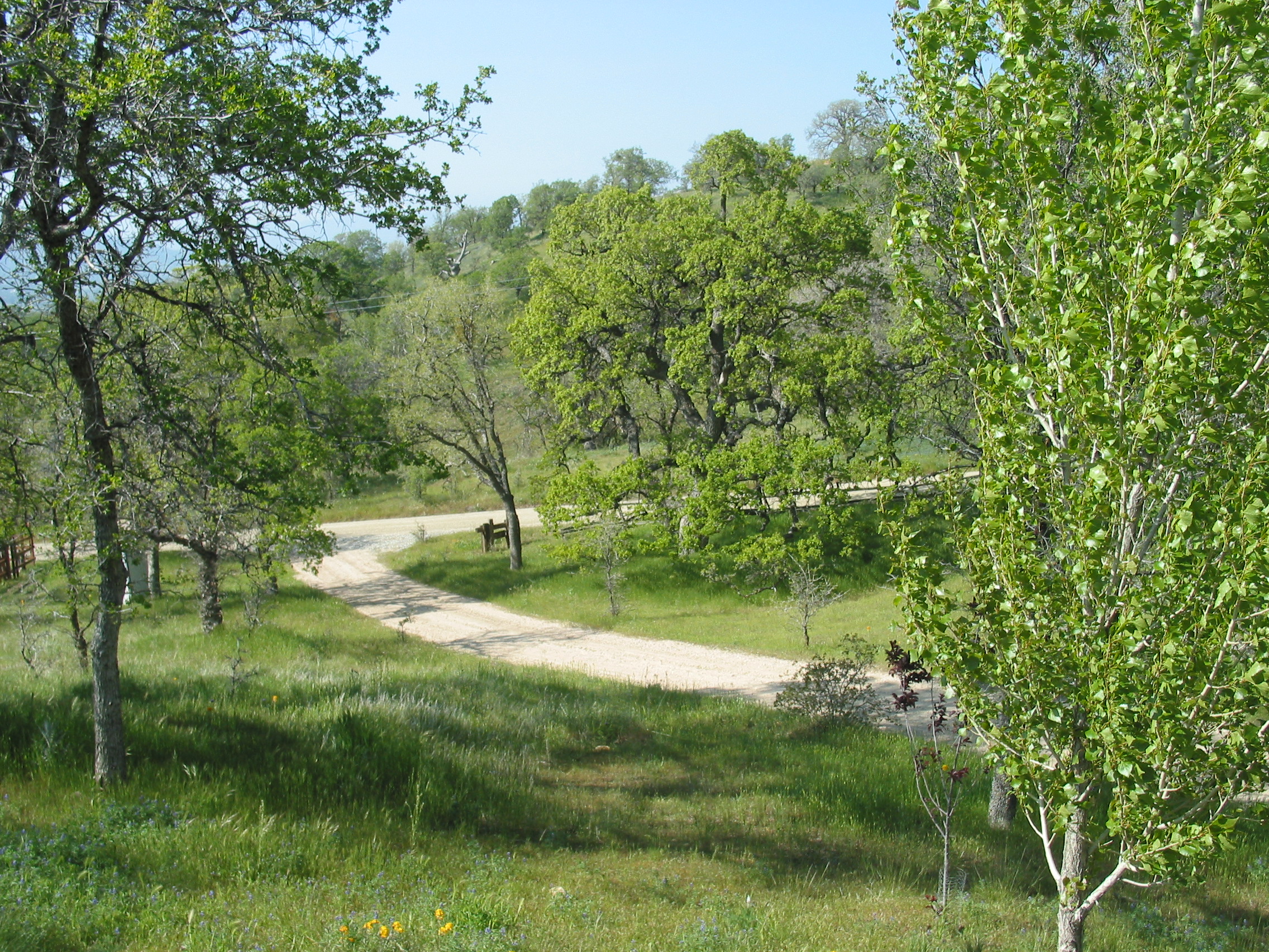 Home - Oaks and Acres